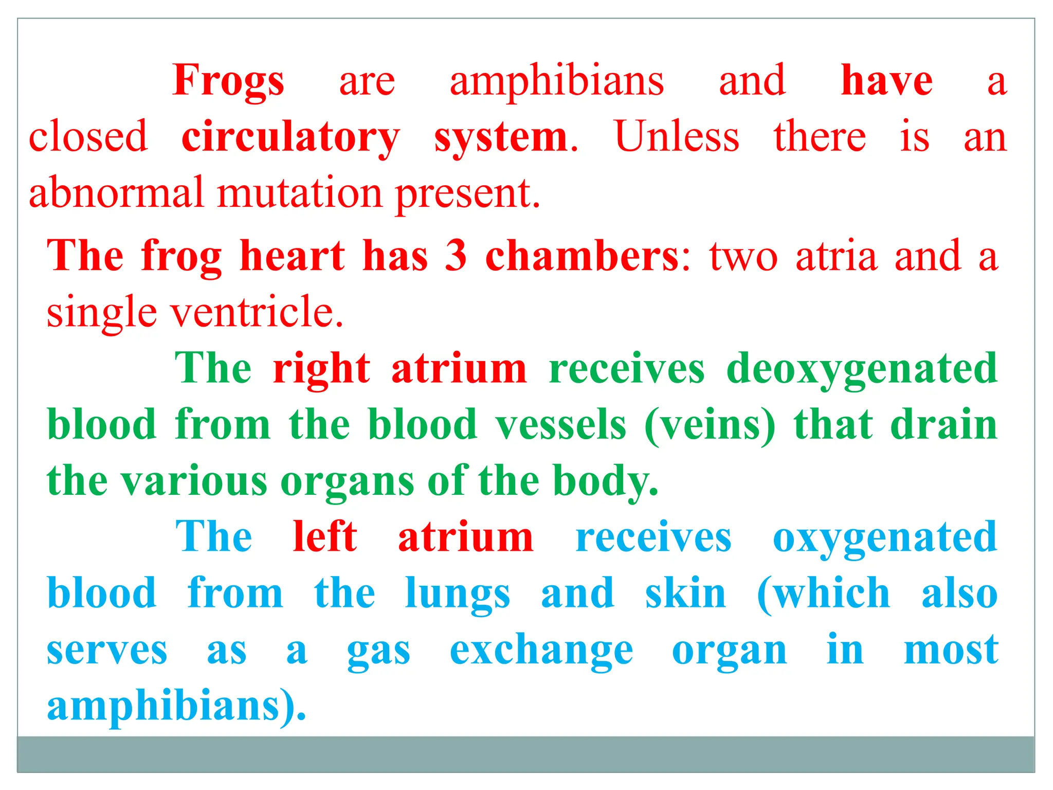 Circulatory Syatem - Frog 1.pptx