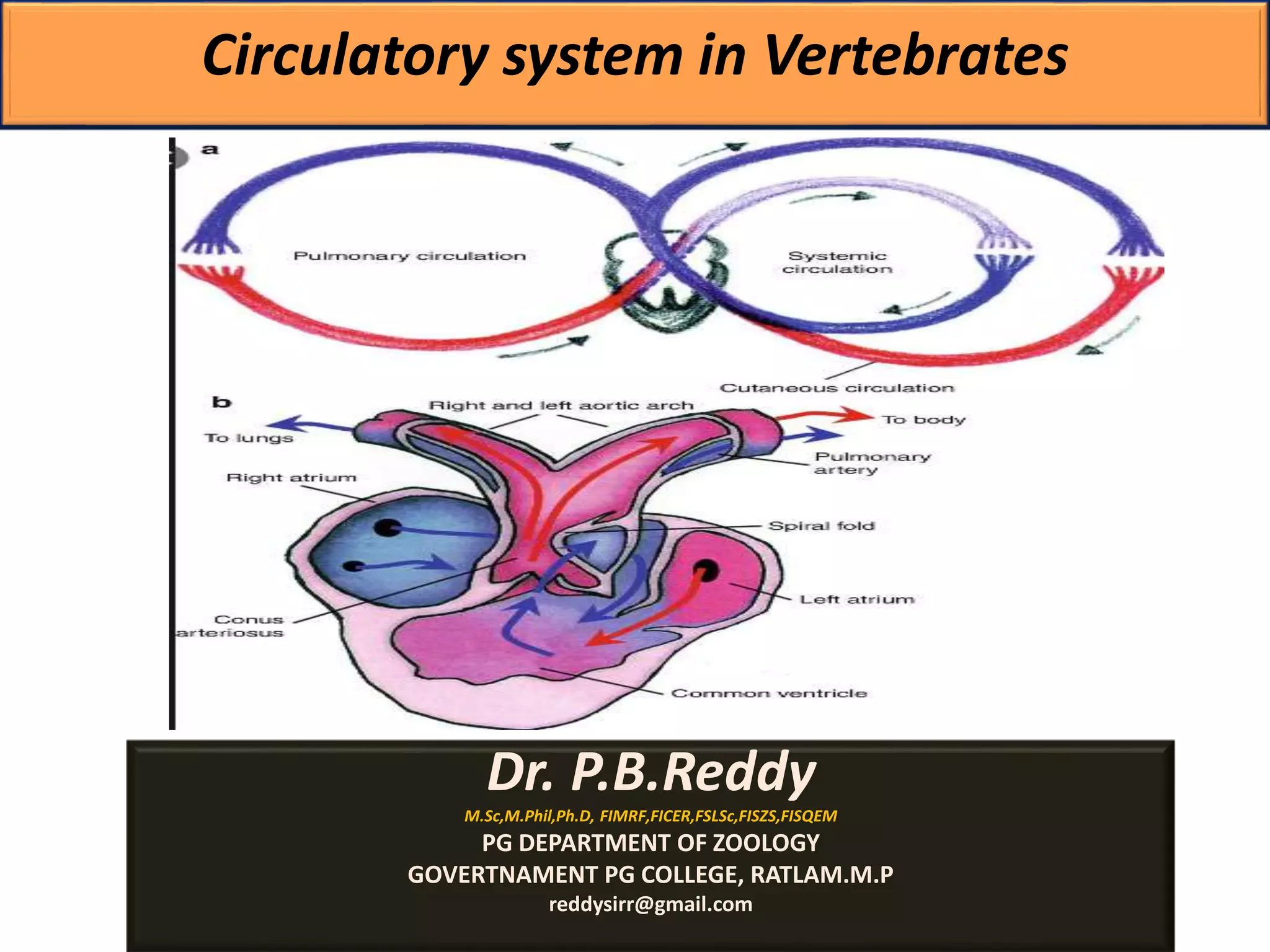 Circulatory sysem of vertebrates | PPTX
