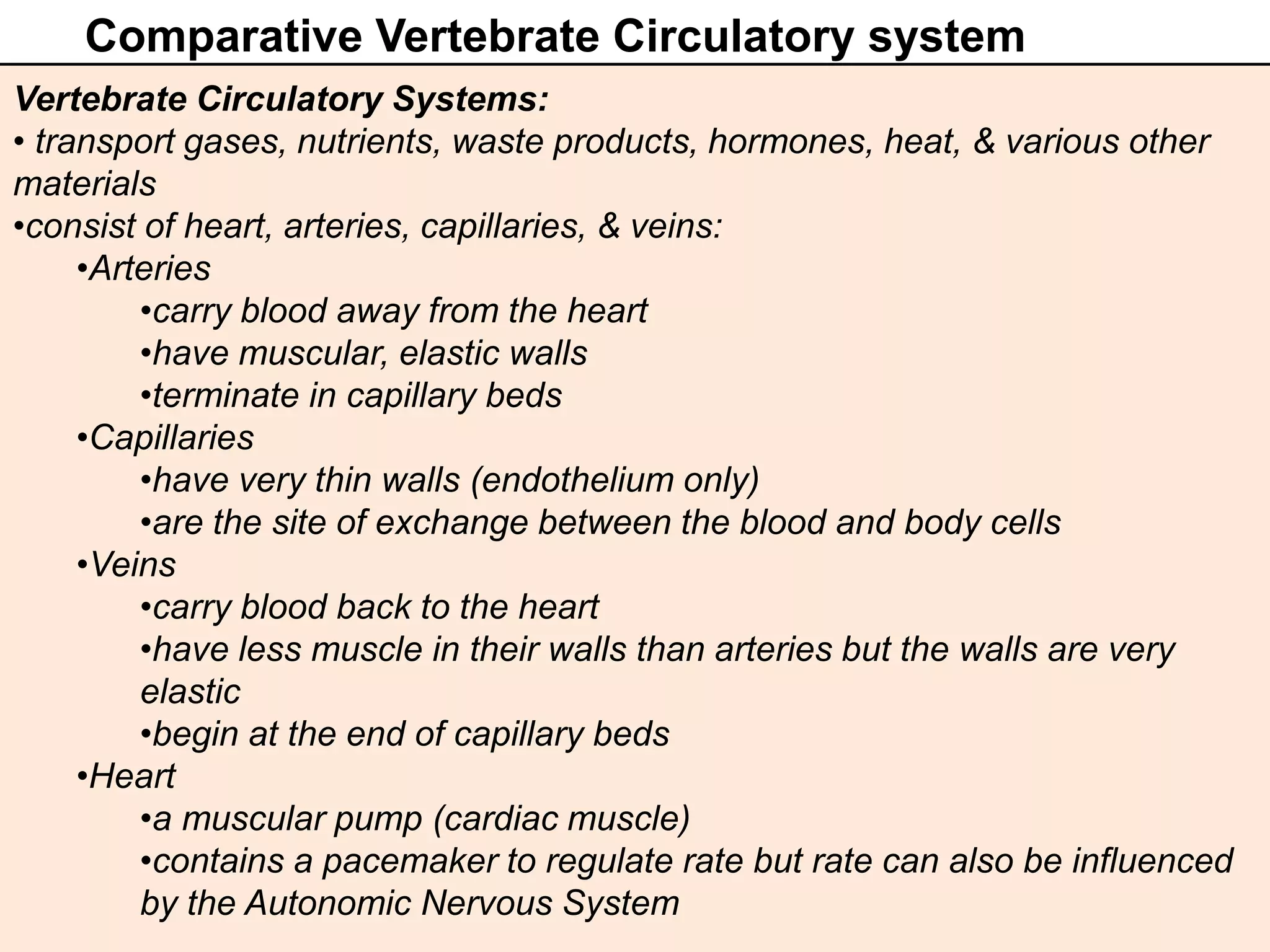 Circulatory sysem of vertebrates | PPTX