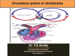 Circulatory sysem of vertebrates | PPTX