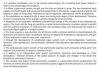 Circulatory sysem of vertebrates | PPTX