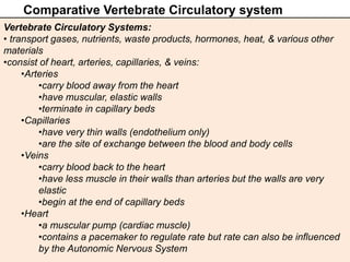 Circulatory sysem of vertebrates | PPTX