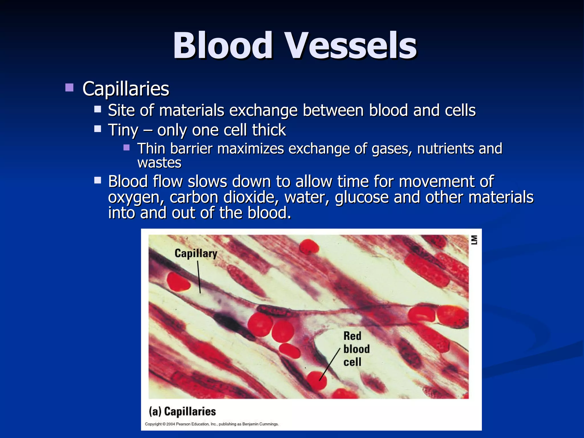 Circulatory System | PPT