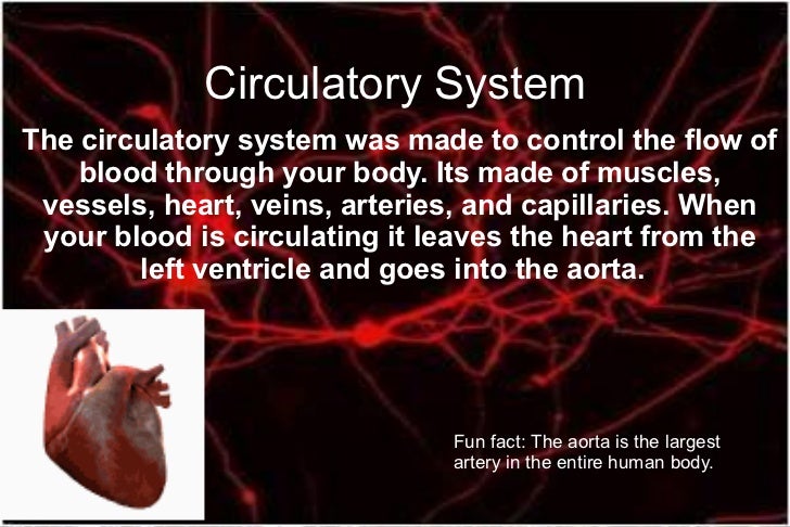 Interesting Circulation