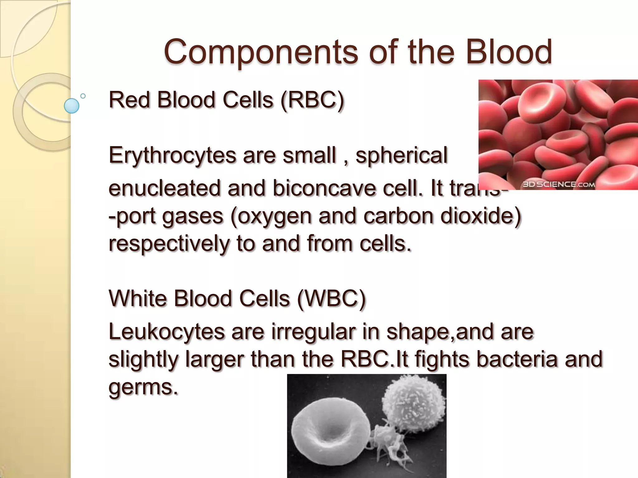 Circulatory system | PPTX