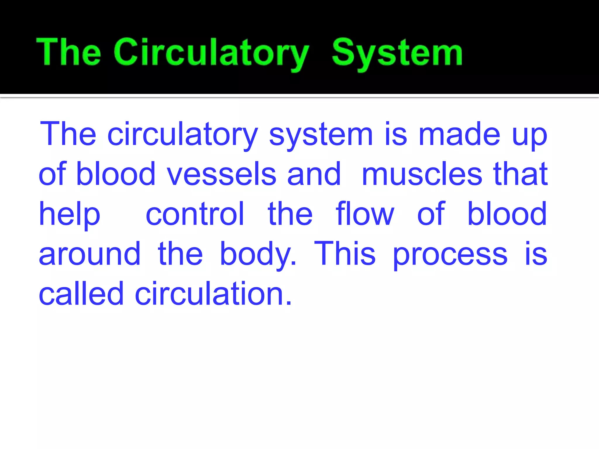 Circulatory system | PPTX