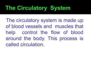 Circulatory system | PPT
