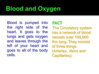 Circulatory system | PPT