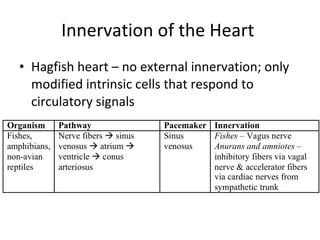 Circulatory system | PPT