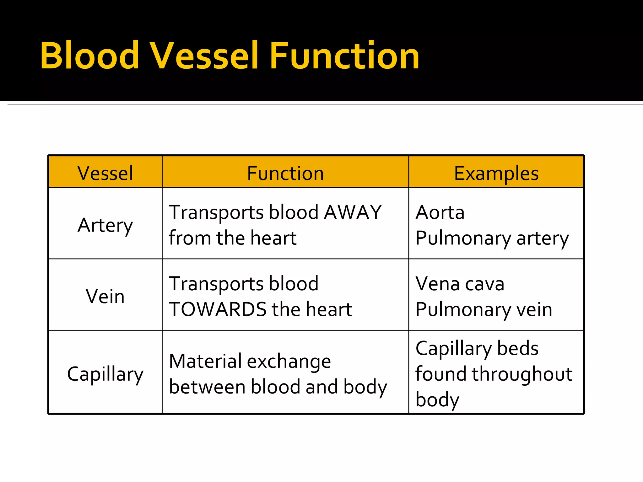 Circulatory system | PPT