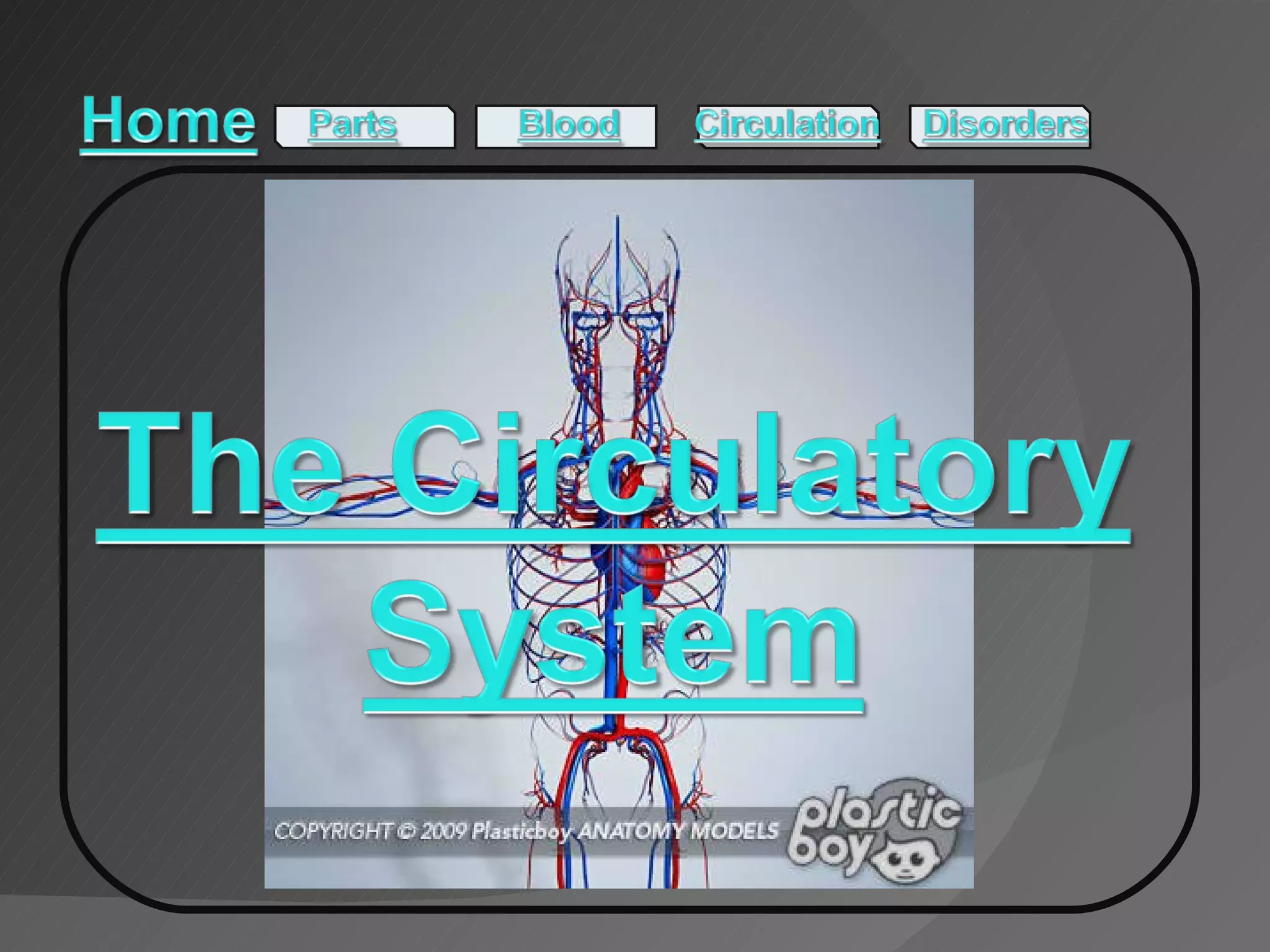 Circulatory system | PPT