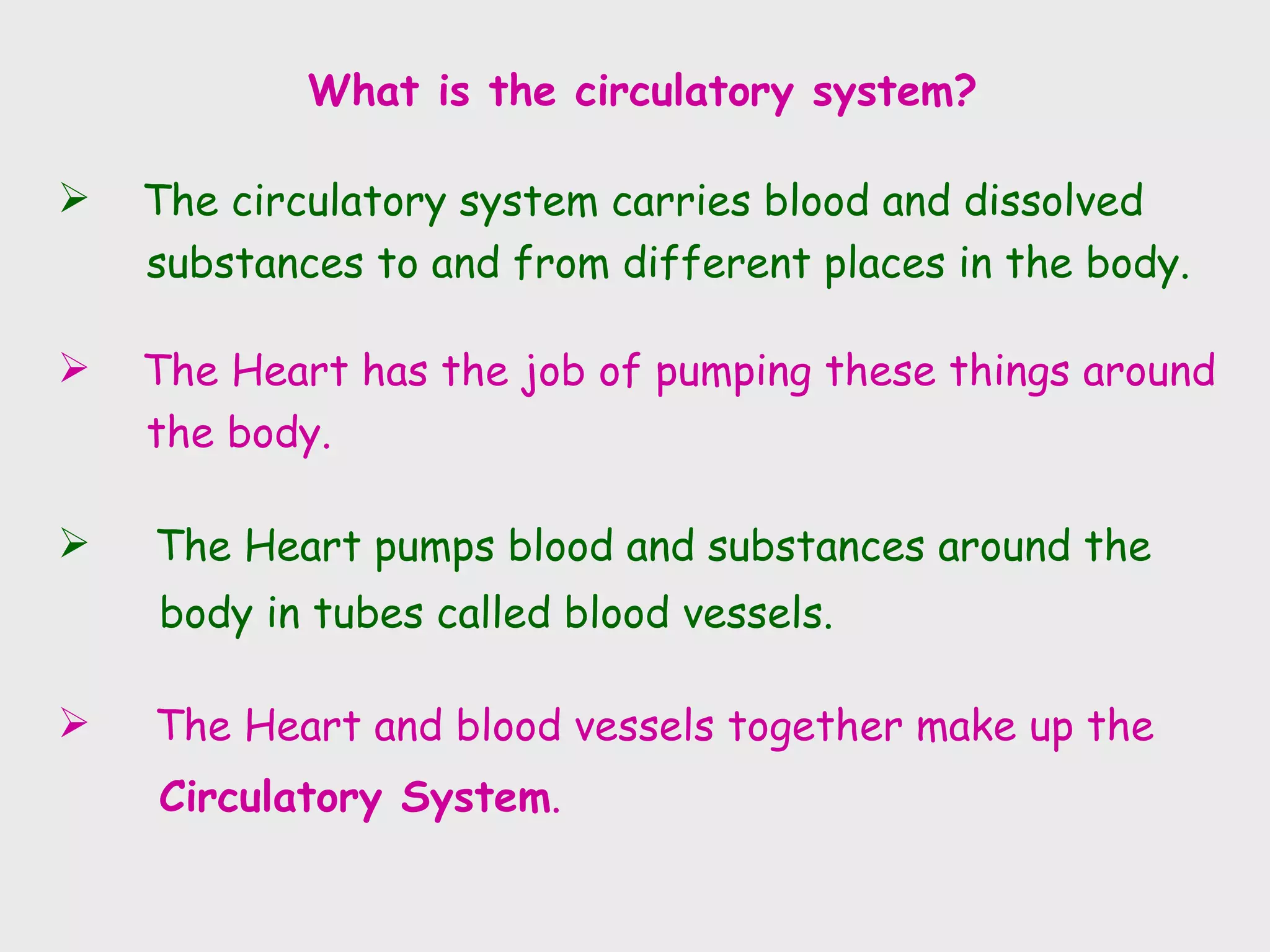 Circulatory system | PPT