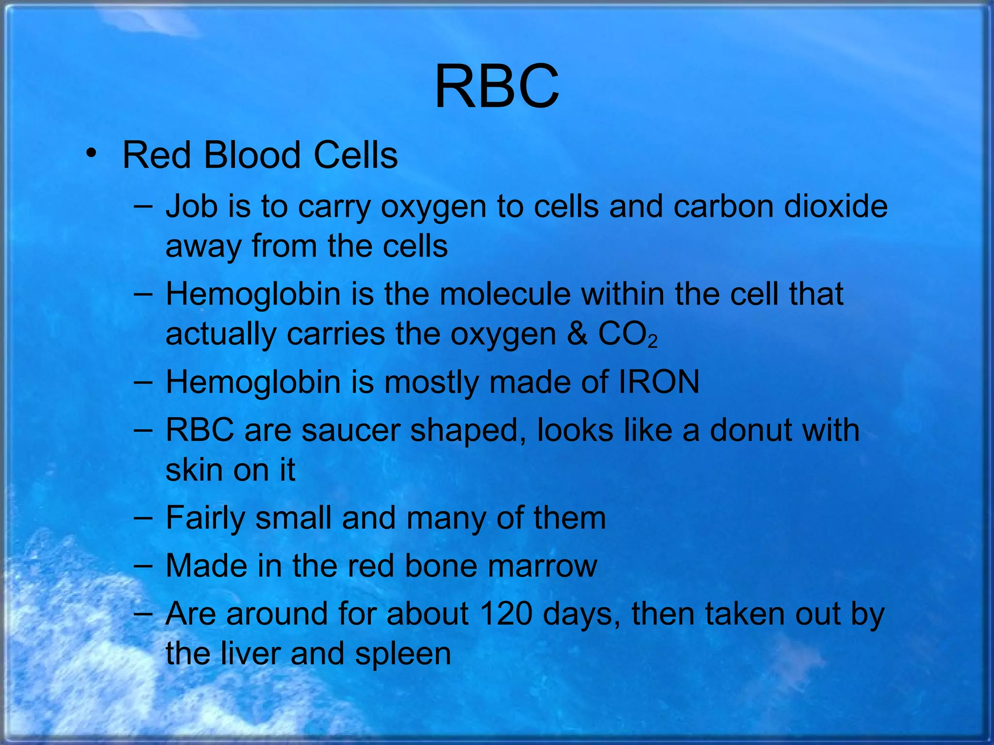 Circulatory system | PPT