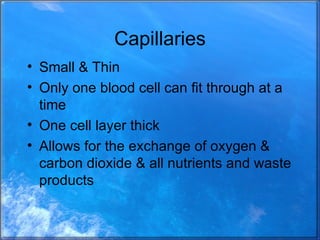 Circulatory system | PPT