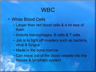 Circulatory system | PPT
