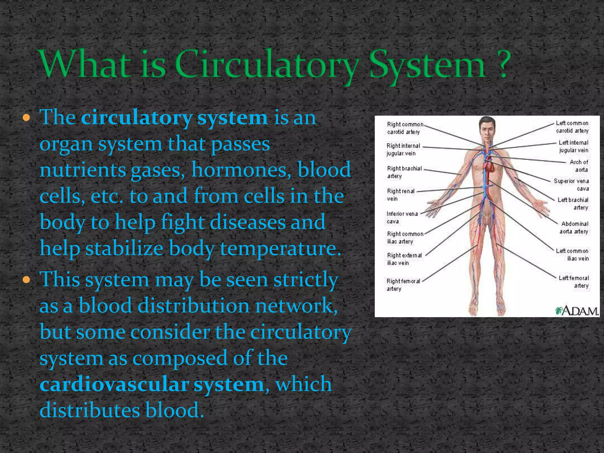 Circulatory system | PPTX