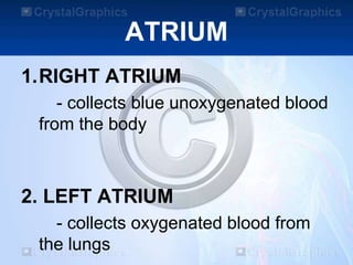 Circulatory system | PPTX