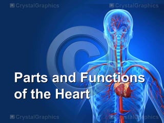 Circulatory system | PPTX