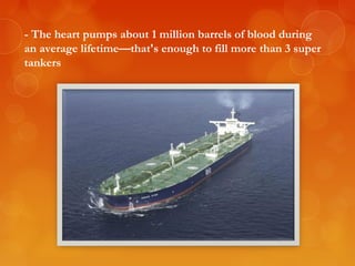 Circulatory system | PPT