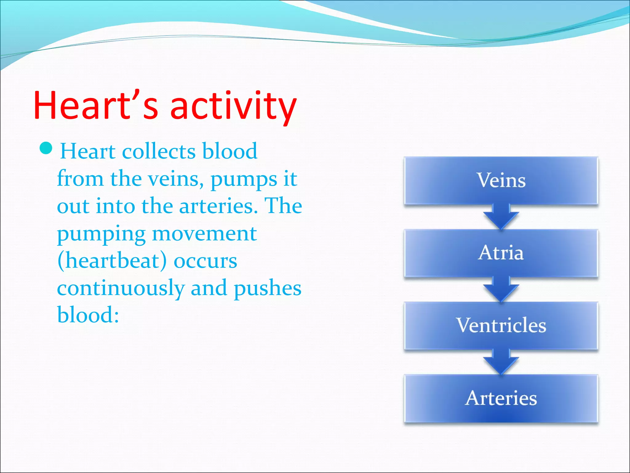 Circulatory system | PPT