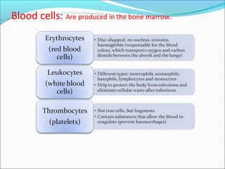Circulatory system | PPT