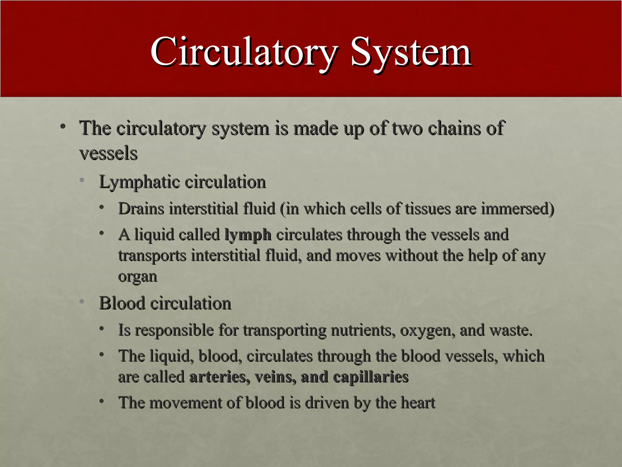 Circulatory system | PPT