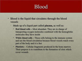 Circulatory system | PPT