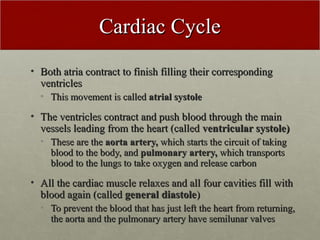 Circulatory system | PPT