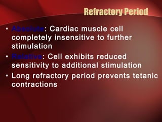 Circulatory system | PPT