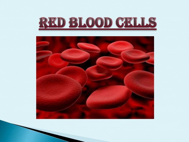 Circulatory system Class 7 | PPTX