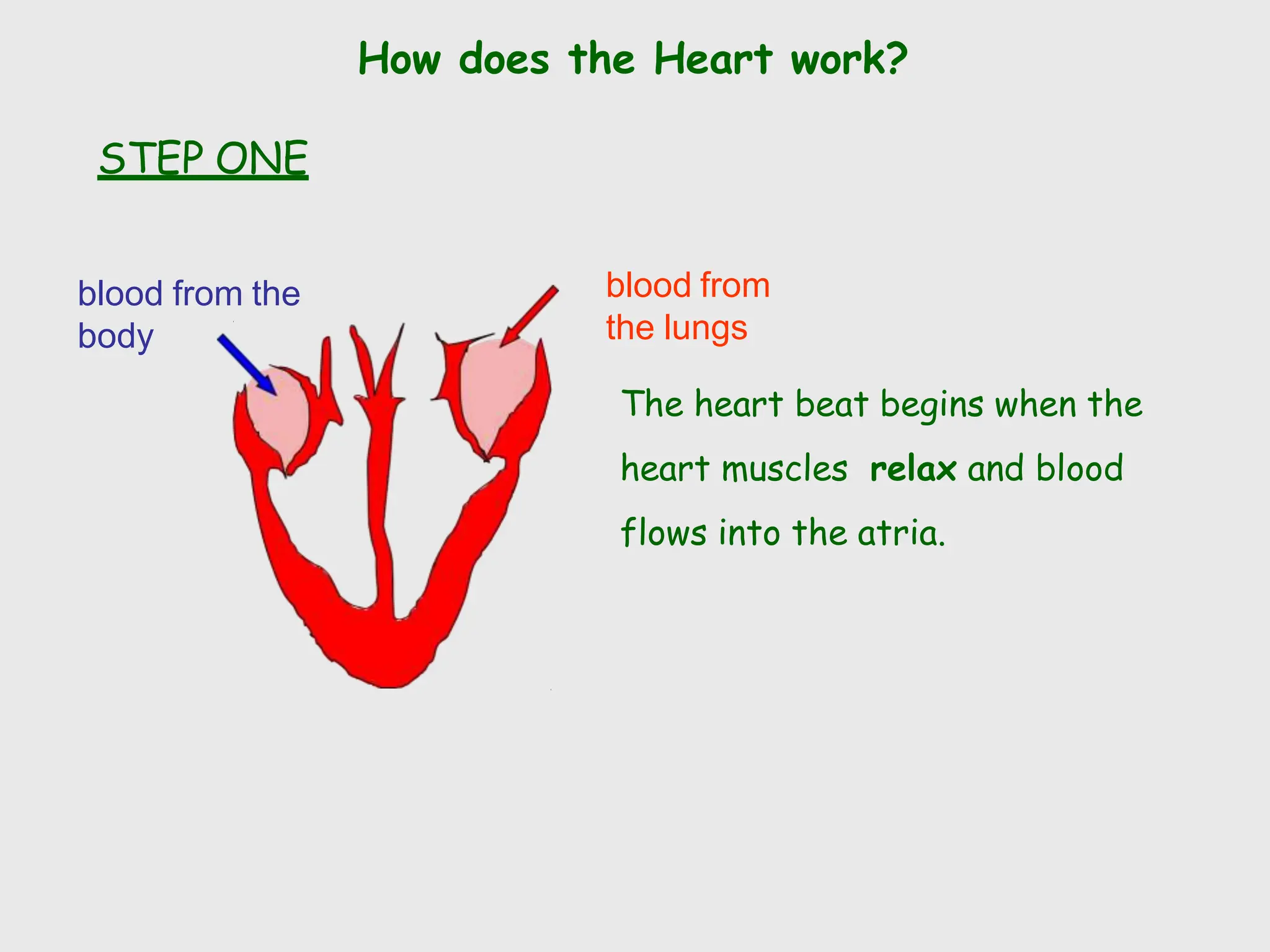 circulatorysystem_circulatorysystem.pptx