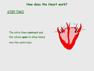 circulatorysystem_circulatorysystem.pptx