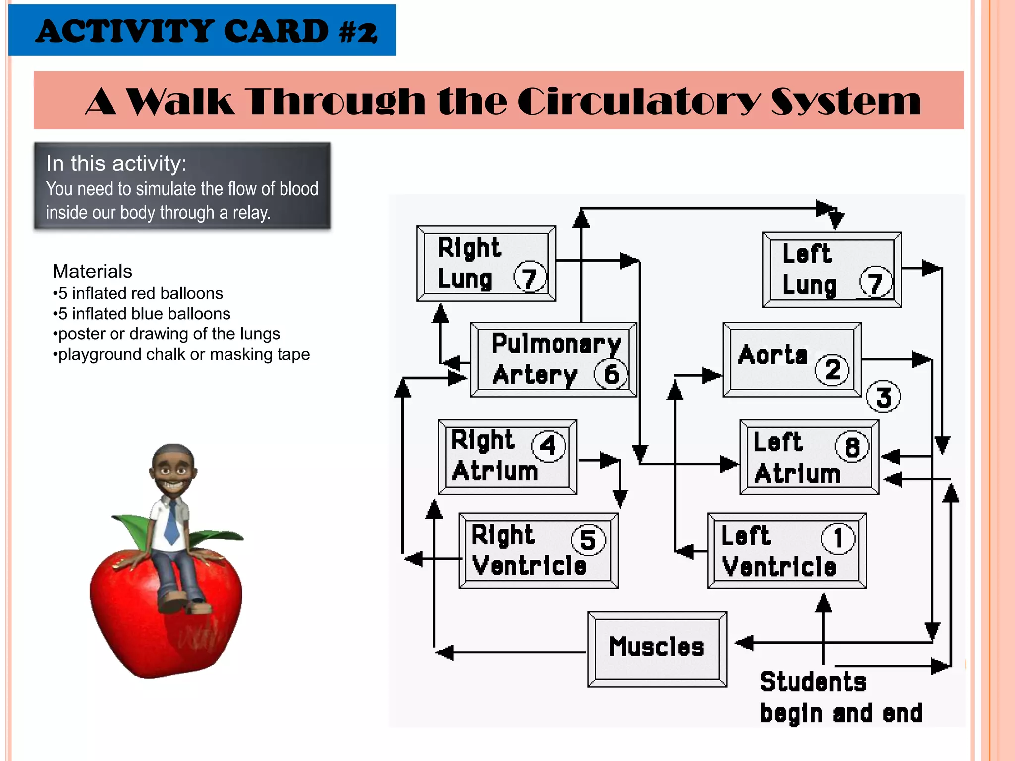 Circulatory system | PPTX