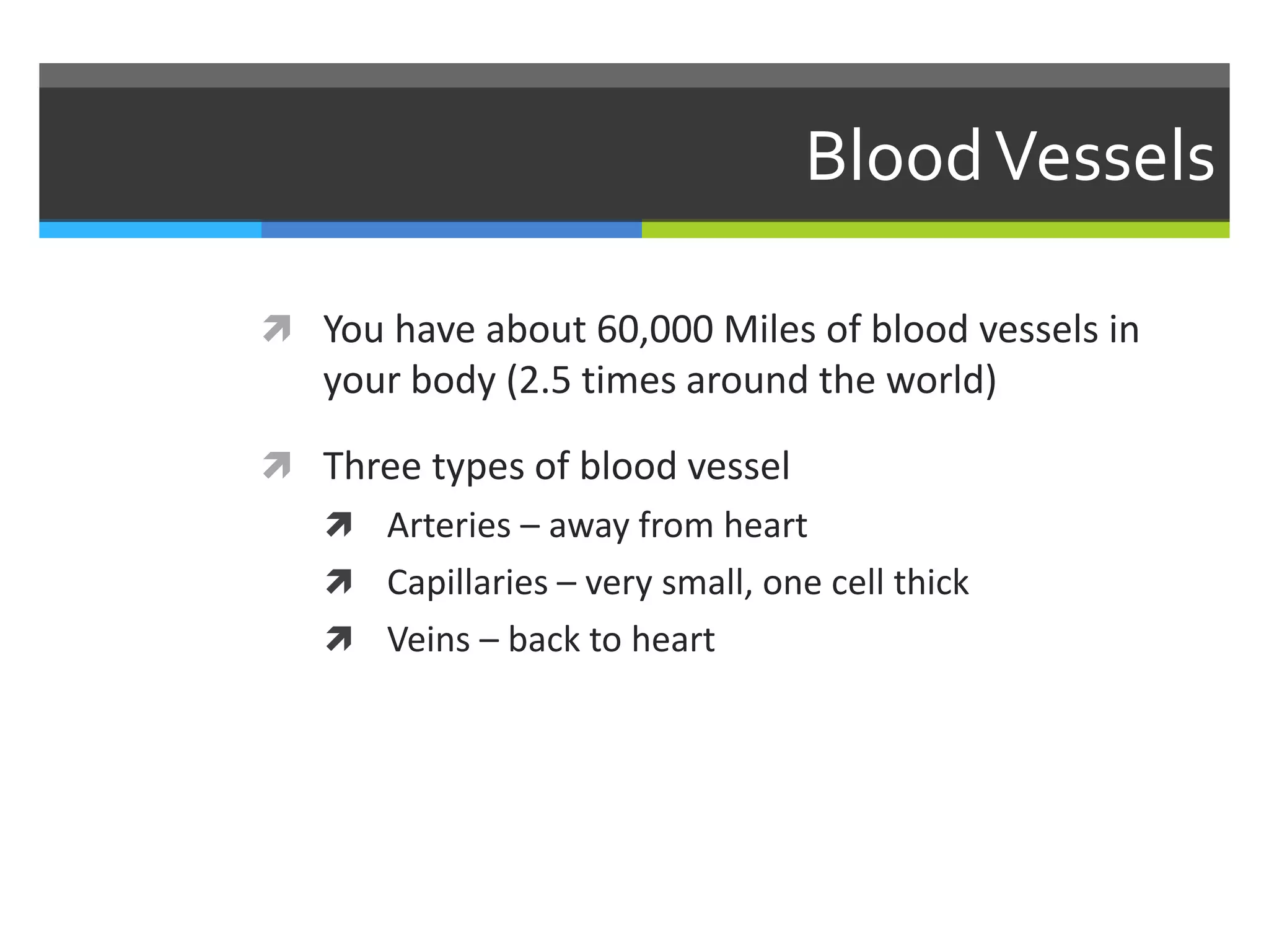 Anatomy--Circulatory and Cardiovascular Systems Notes | PPTX