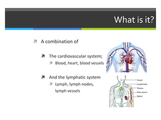 Anatomy--Circulatory and Cardiovascular Systems Notes | PPTX