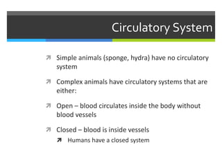 Anatomy--Circulatory and Cardiovascular Systems Notes | PPTX