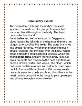 CIRCULATORY SYSTEM | DOCX | Heart and Cardiovascular Diseases ...