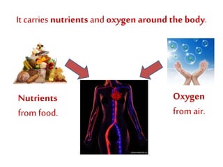 Circulatory system | PPT