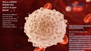 Circulatory system | PPT