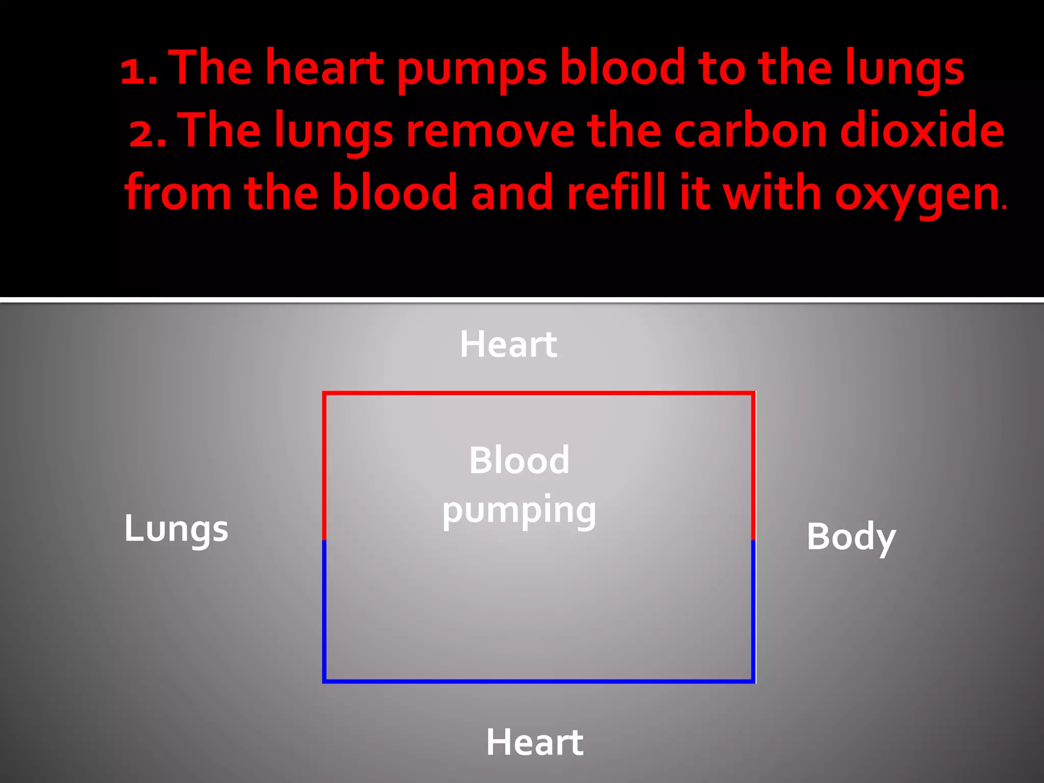 Circulatory system for elementary level | PPTX