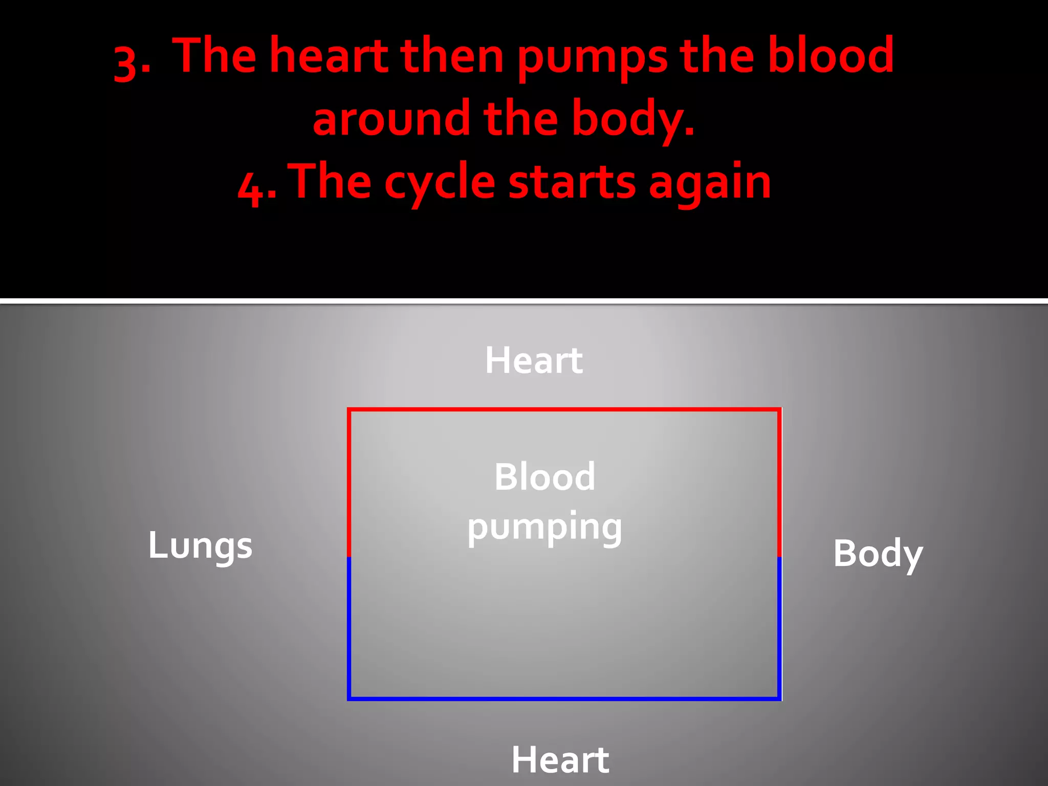 Circulatory system for elementary level | PPTX