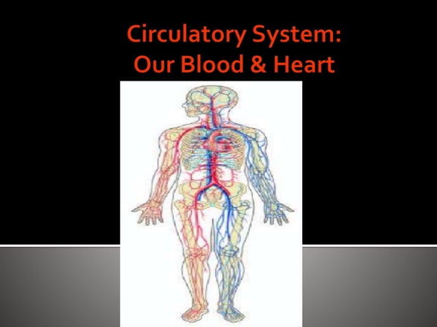 Circulatory system for elementary level | PPTX