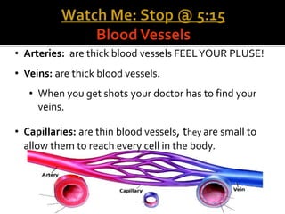 Circulatory system for elementary level | PPTX