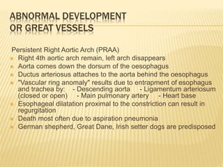 Circulatory system | PPTX