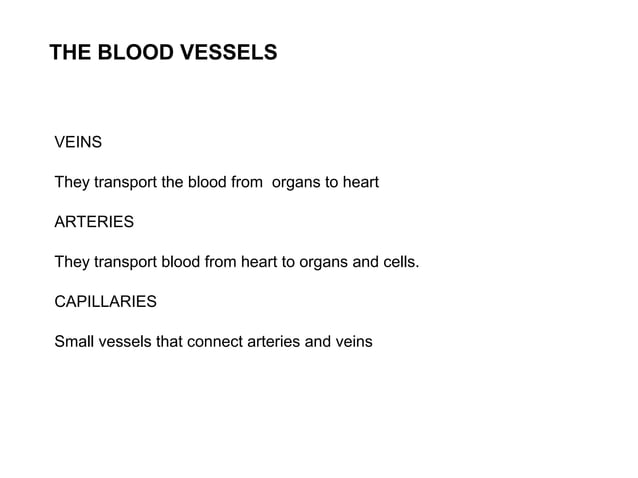 Circulatory system | PPT