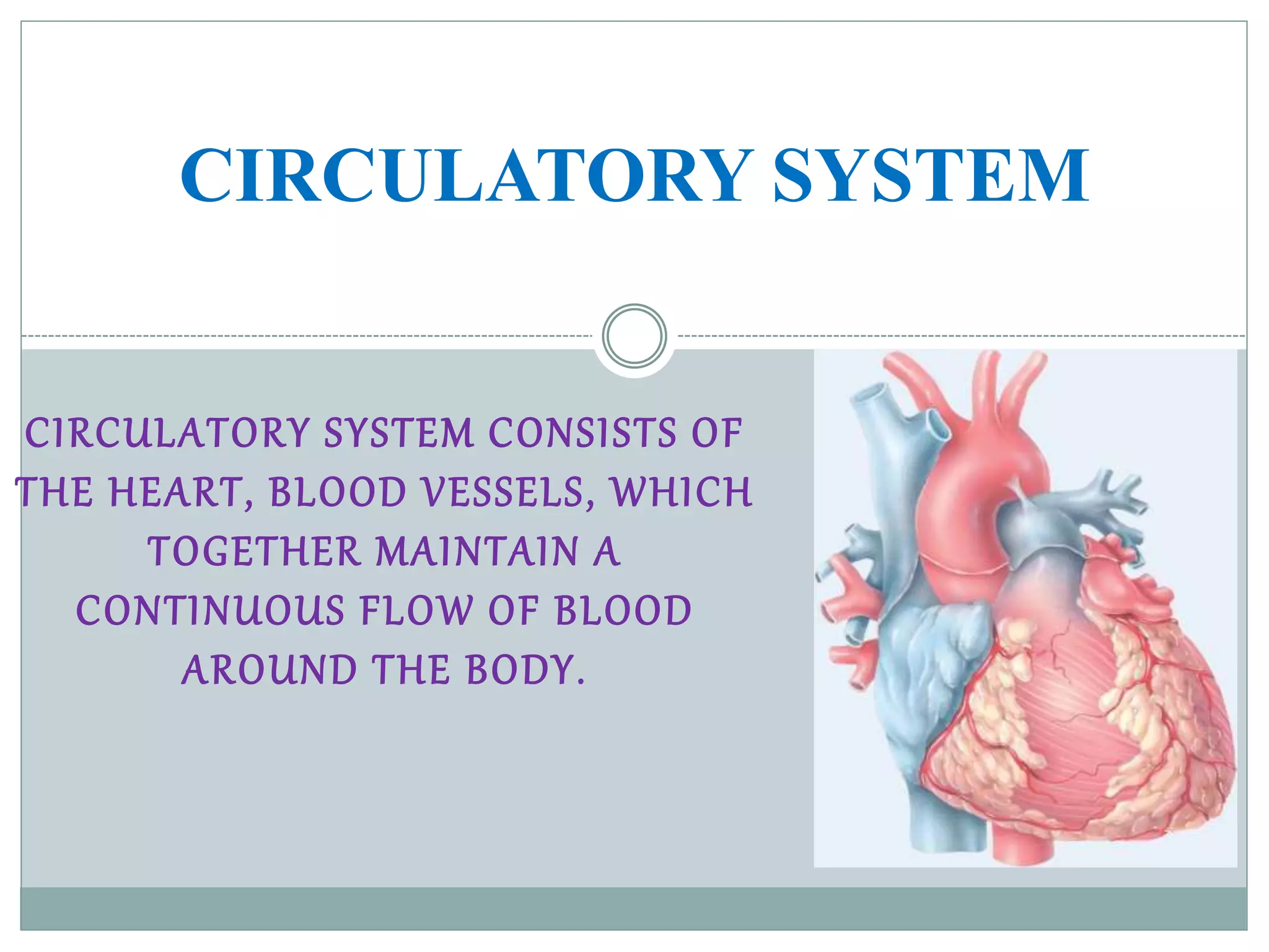 Circulatory system | PPTX
