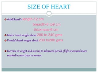 Circulatory system | PPTX