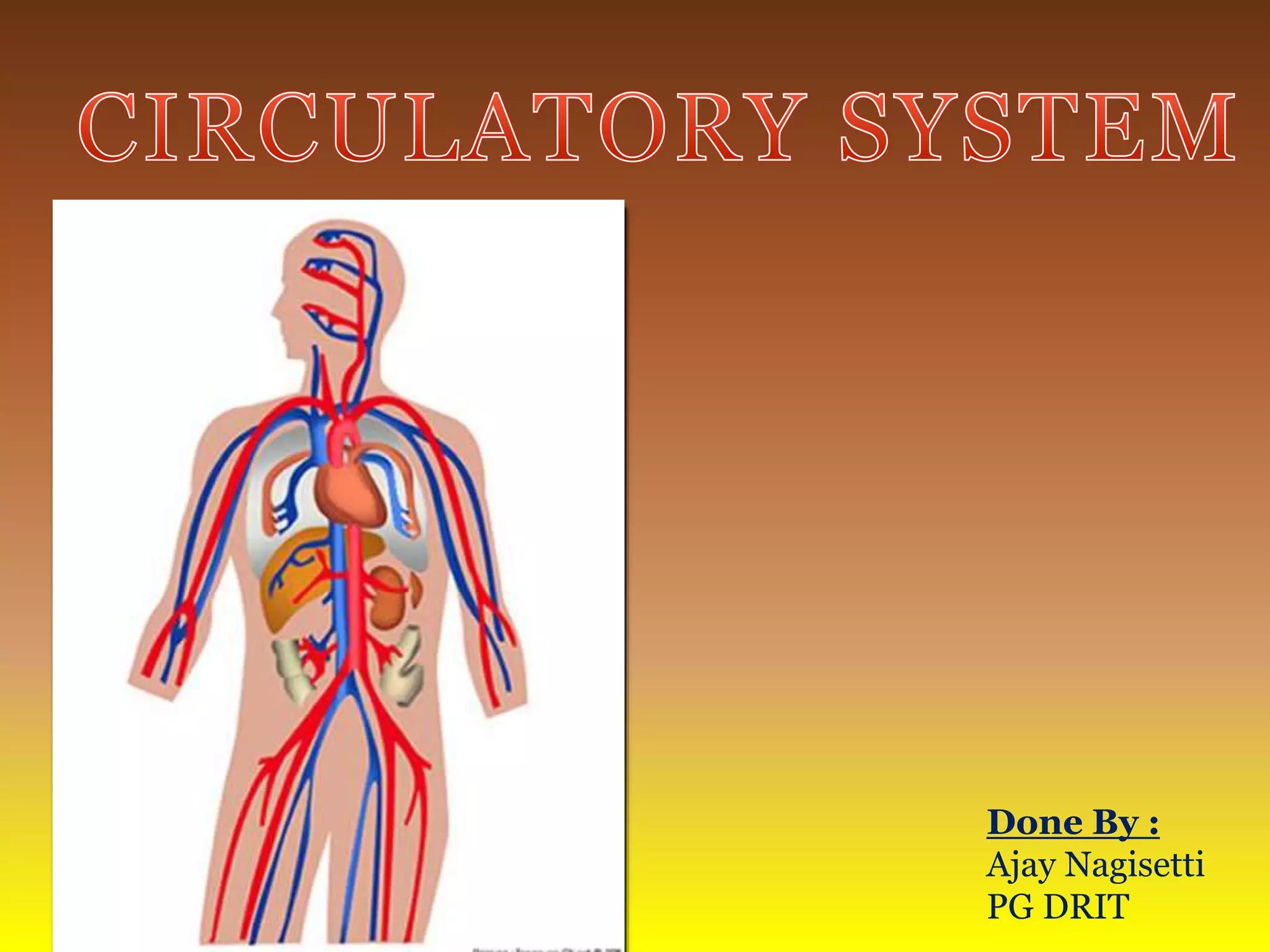 Circulatory system | PPT
