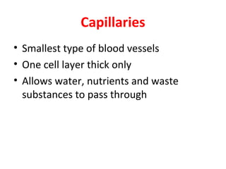 Circulatory system | PDF