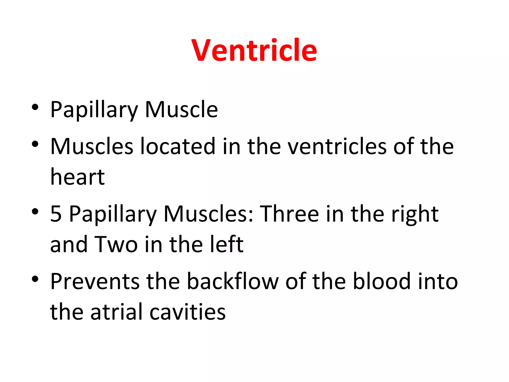 Circulatory System | PPT